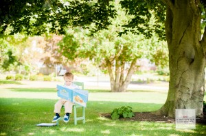 A Tale of a Little Boy....Mason turns two. - a delicate gift